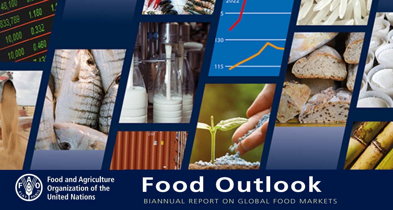 Food Outlook: i più poveri del mondo pagano di più per meno cibo e di ...